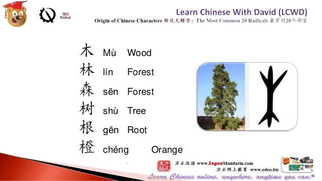 The Most Common 20 Chinese Radicals which account 51% of total Chines…