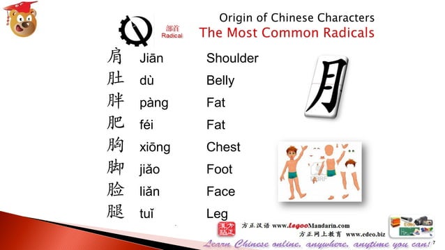 Origin of Chinese Characters HSK 4- 1909 肚 dù stomach ; belly; triple | PPT