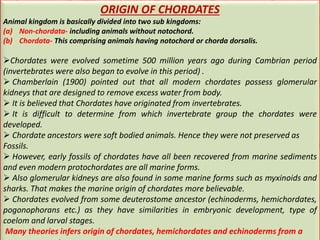 Origin of chordata | PPTX