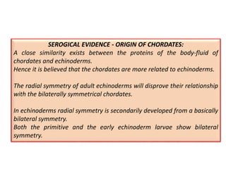 Origin of chordata | PPTX