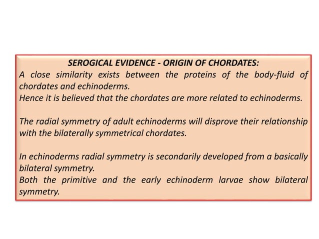 Origin of chordata | PPTX | Biological Sciences | Science