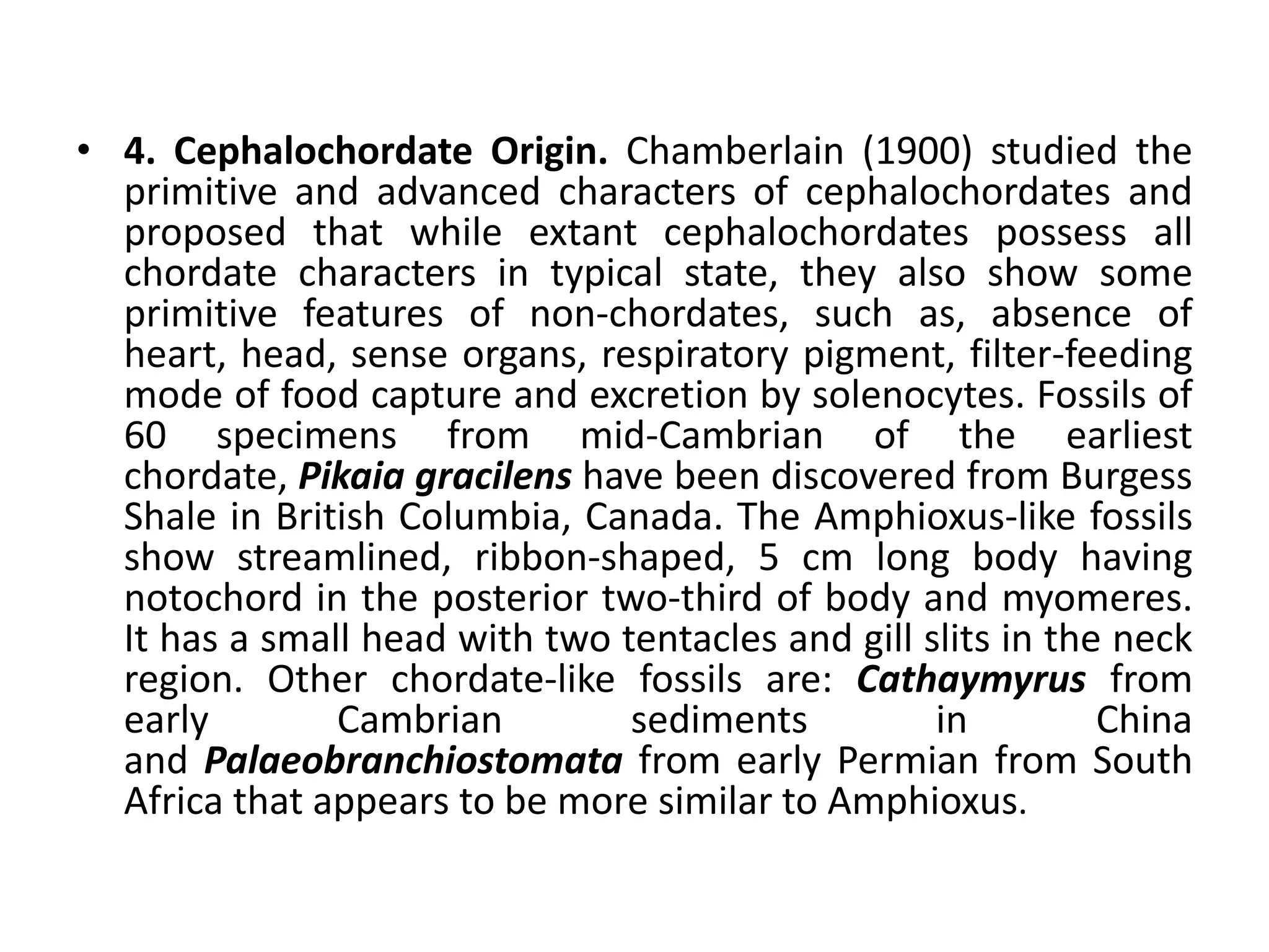 Origin of Chordata.pptx