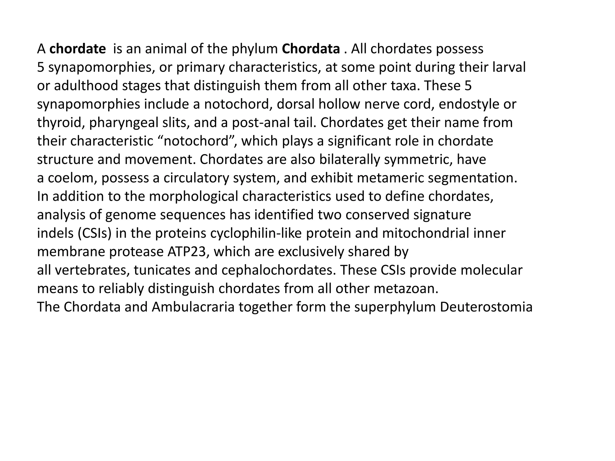 Origin of Chordata.pptx