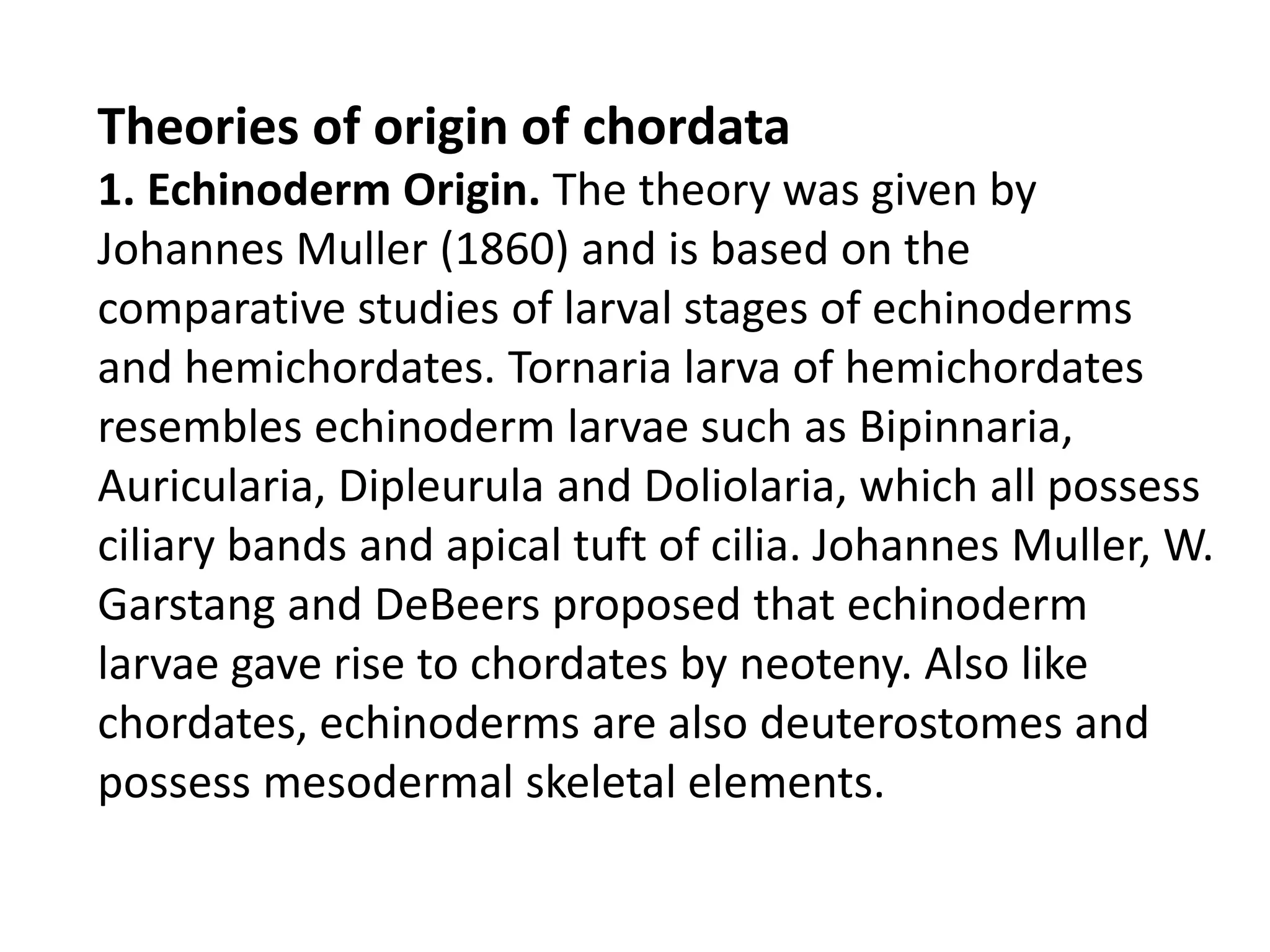 Origin of Chordata.pptx