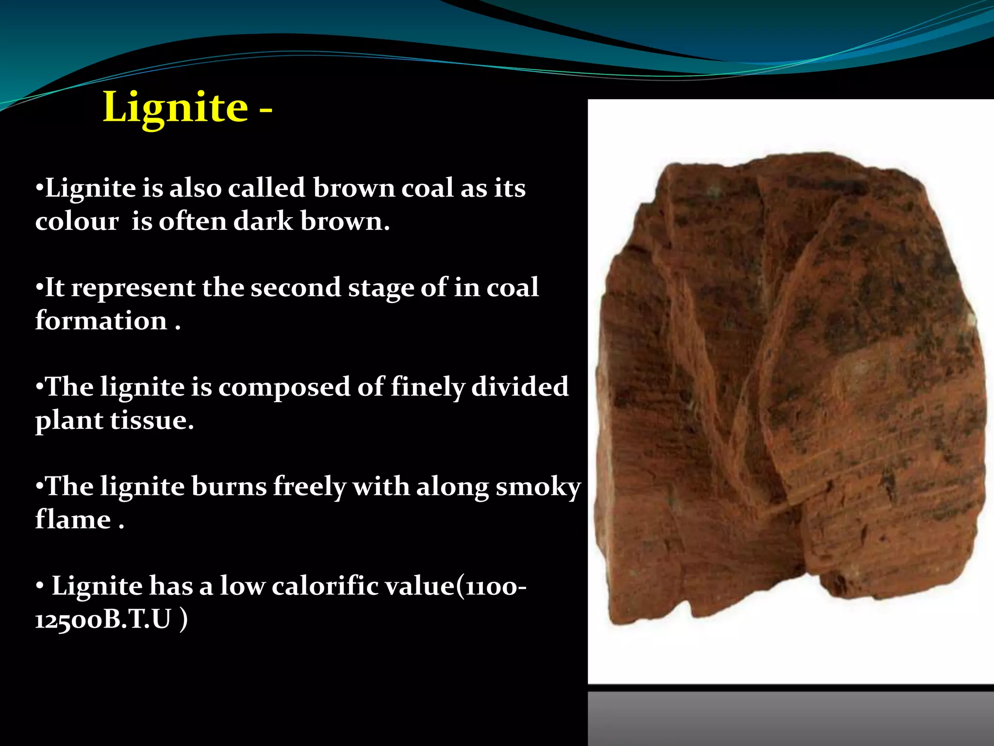 Origin of coal b.sc.sem. v paper i final | PPTX