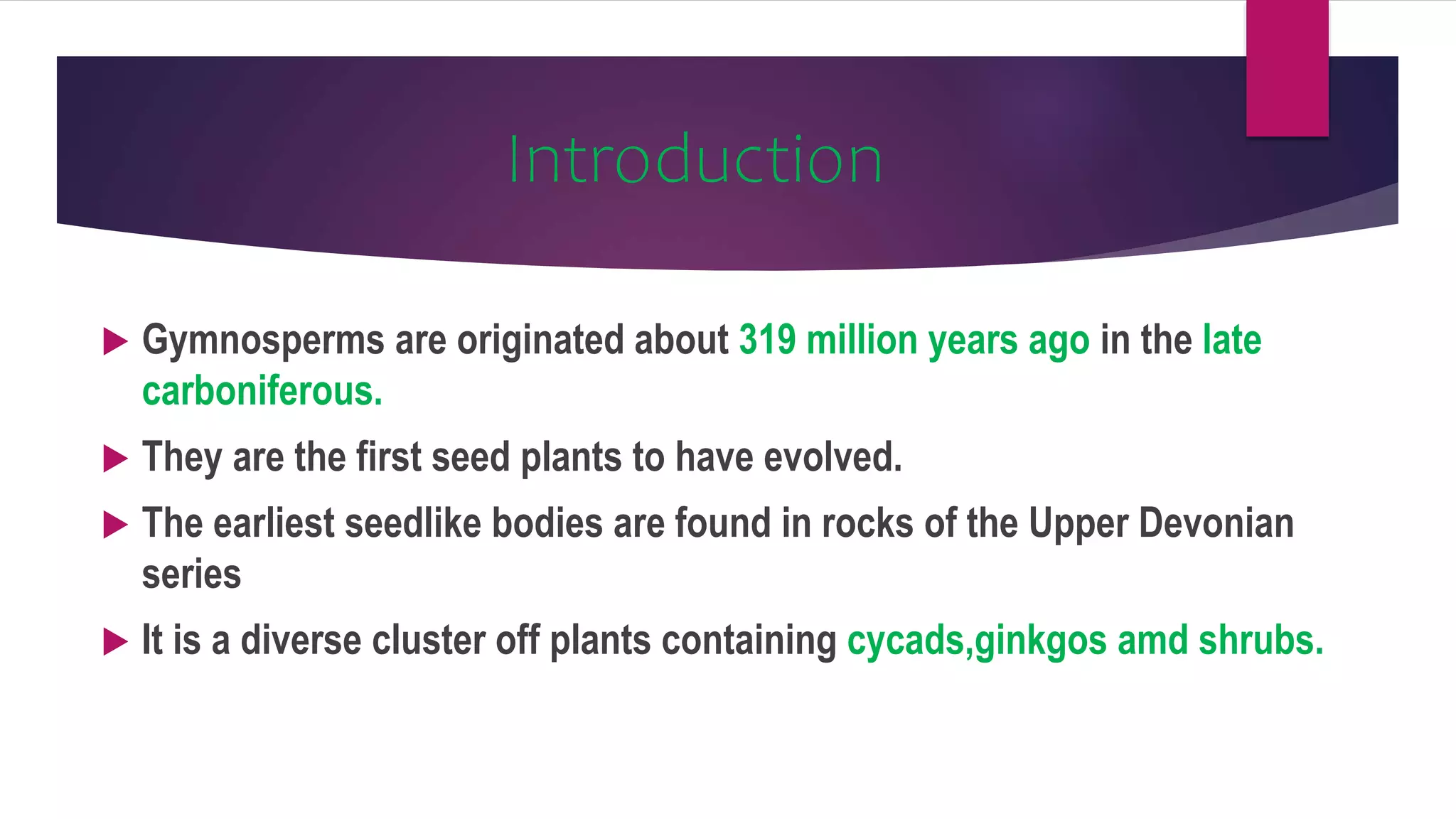 origin of Gymnosperms.pptx