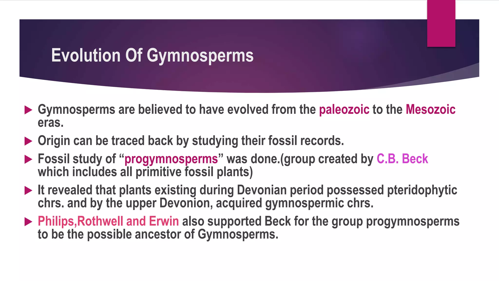origin of Gymnosperms.pptx