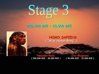 Origin Of Humans | PPT