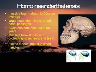Origin Of Humans | PPT