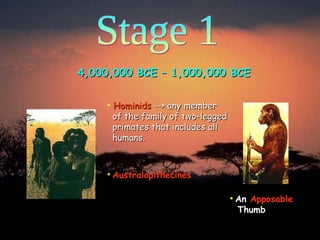 Origin Of Humans | PPT