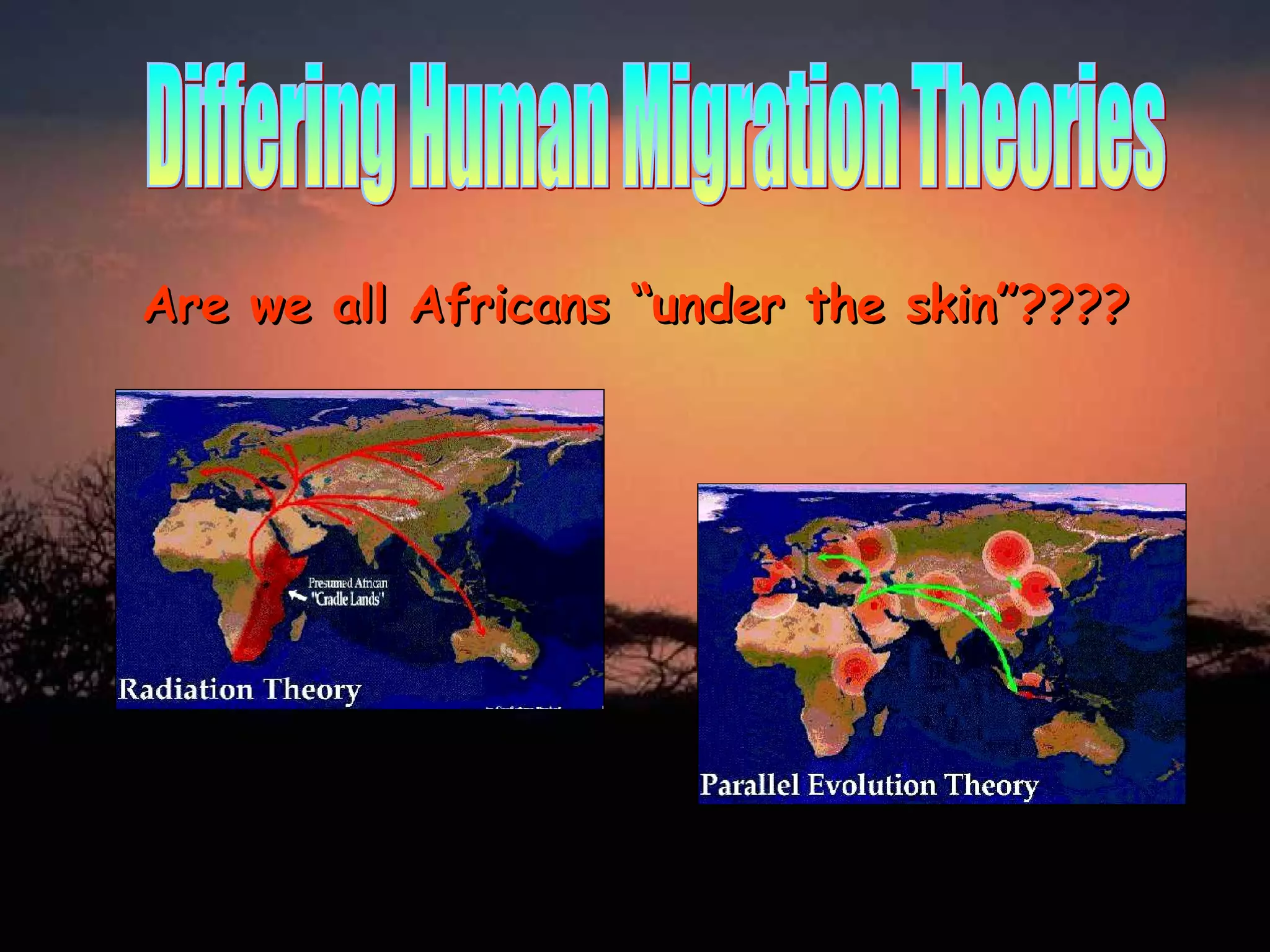 Origin of humans | PPT