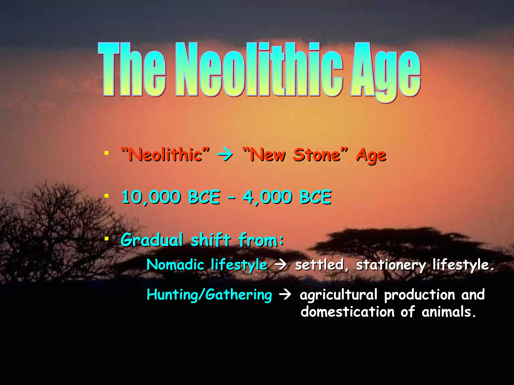 Origin of humans | PPT