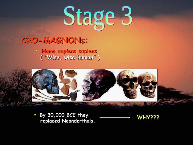 Origin of humans | PPT