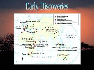 Origin of humans | PPT