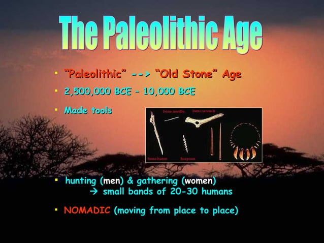 Origin of humans | PPT