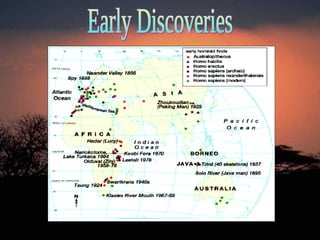 Origin of Humans | PPT