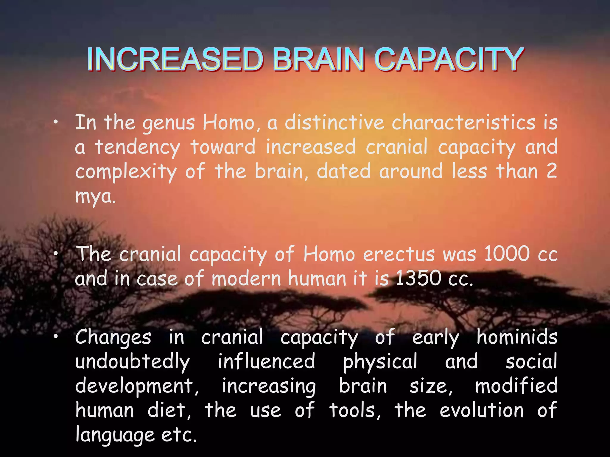 Hominid Evolution | PPTX
