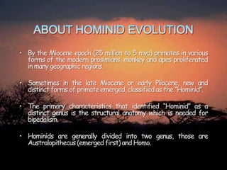 Hominid Evolution | PPTX