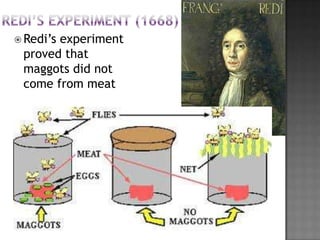 BIOLOGICAL SCIENCE~origin of life | PPTX