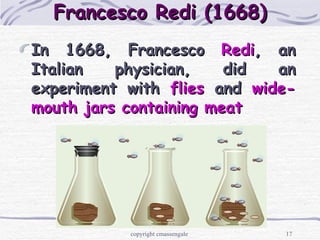 Francesco Redi Experiment