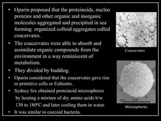 Origin of life | PPTX