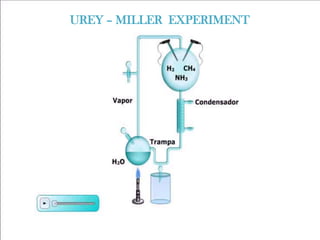 Origin of life | PPTX