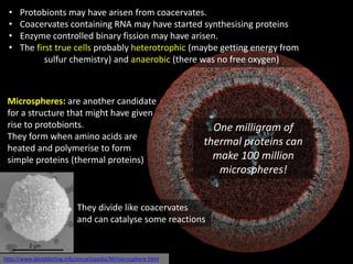Origin of life | PPT