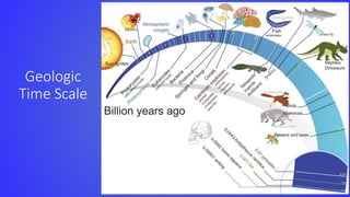 Origin of life | PPT