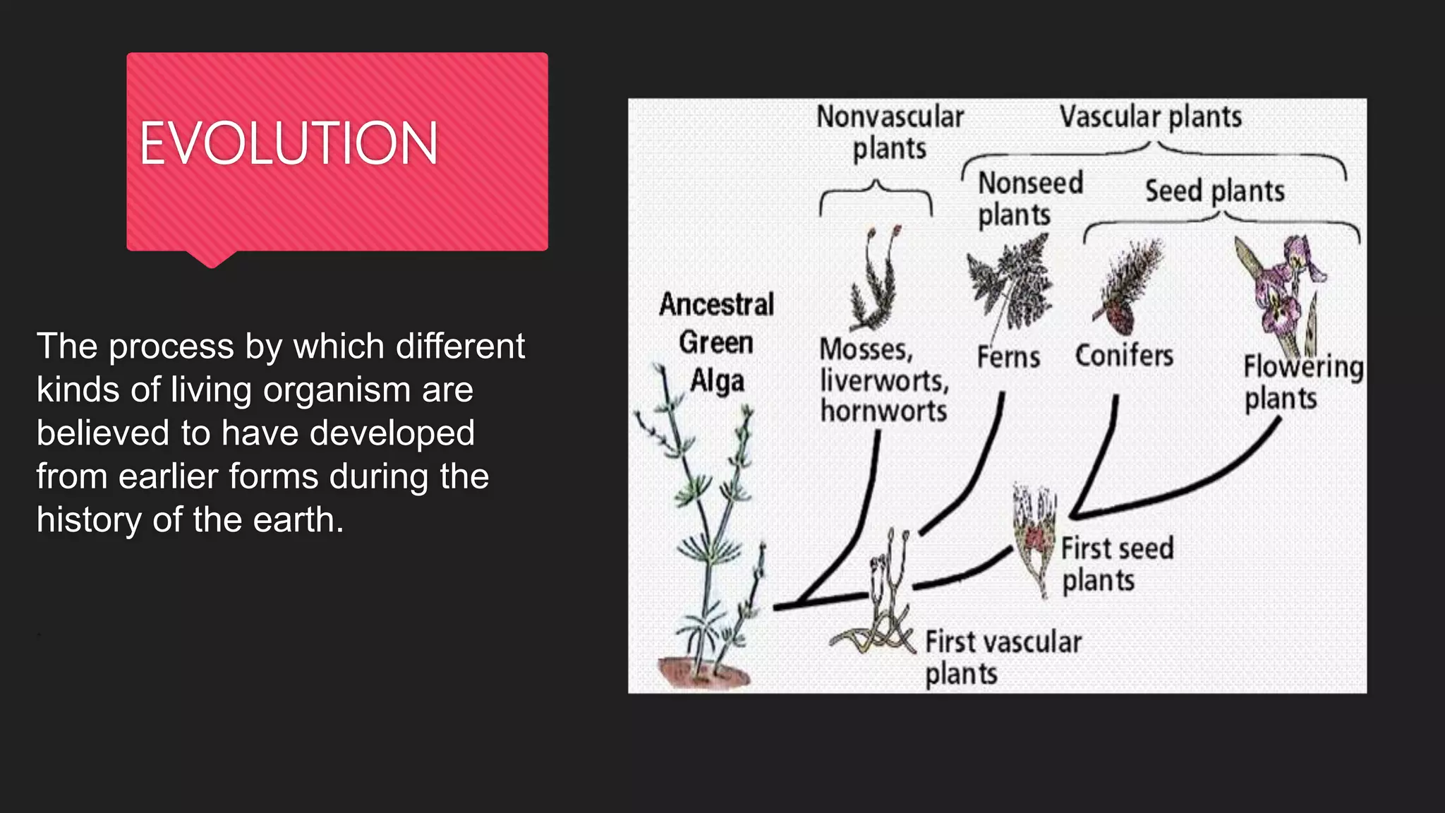 Origin of life (Evolutionary biology) | PPTX