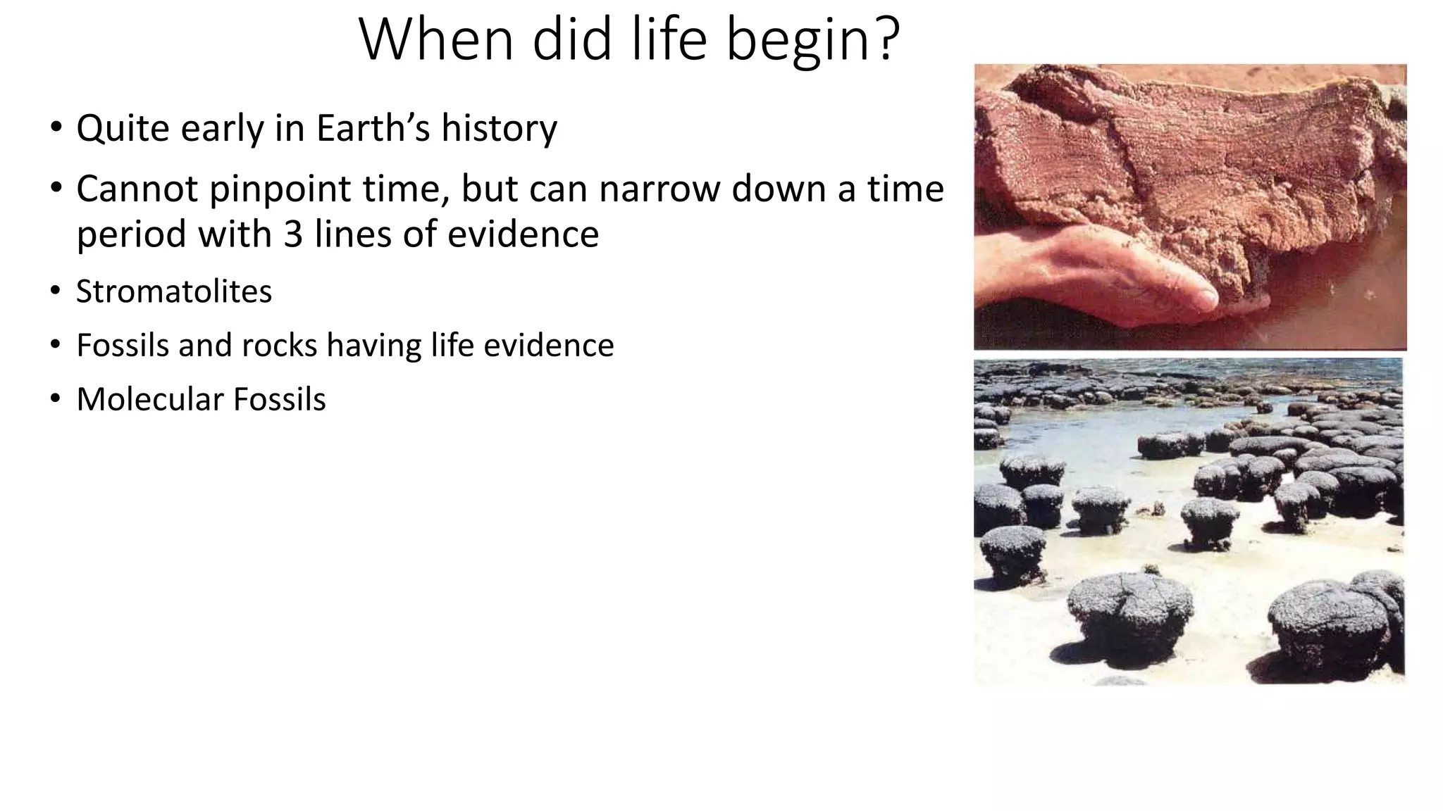 origin of life.pptx | Biological Sciences | Science