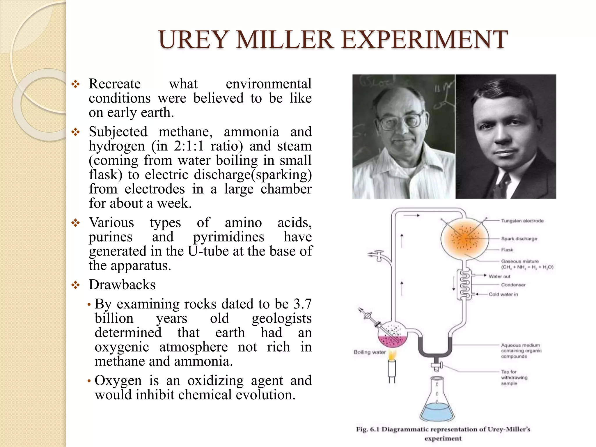 ORIGIN OF LIFE.pptx