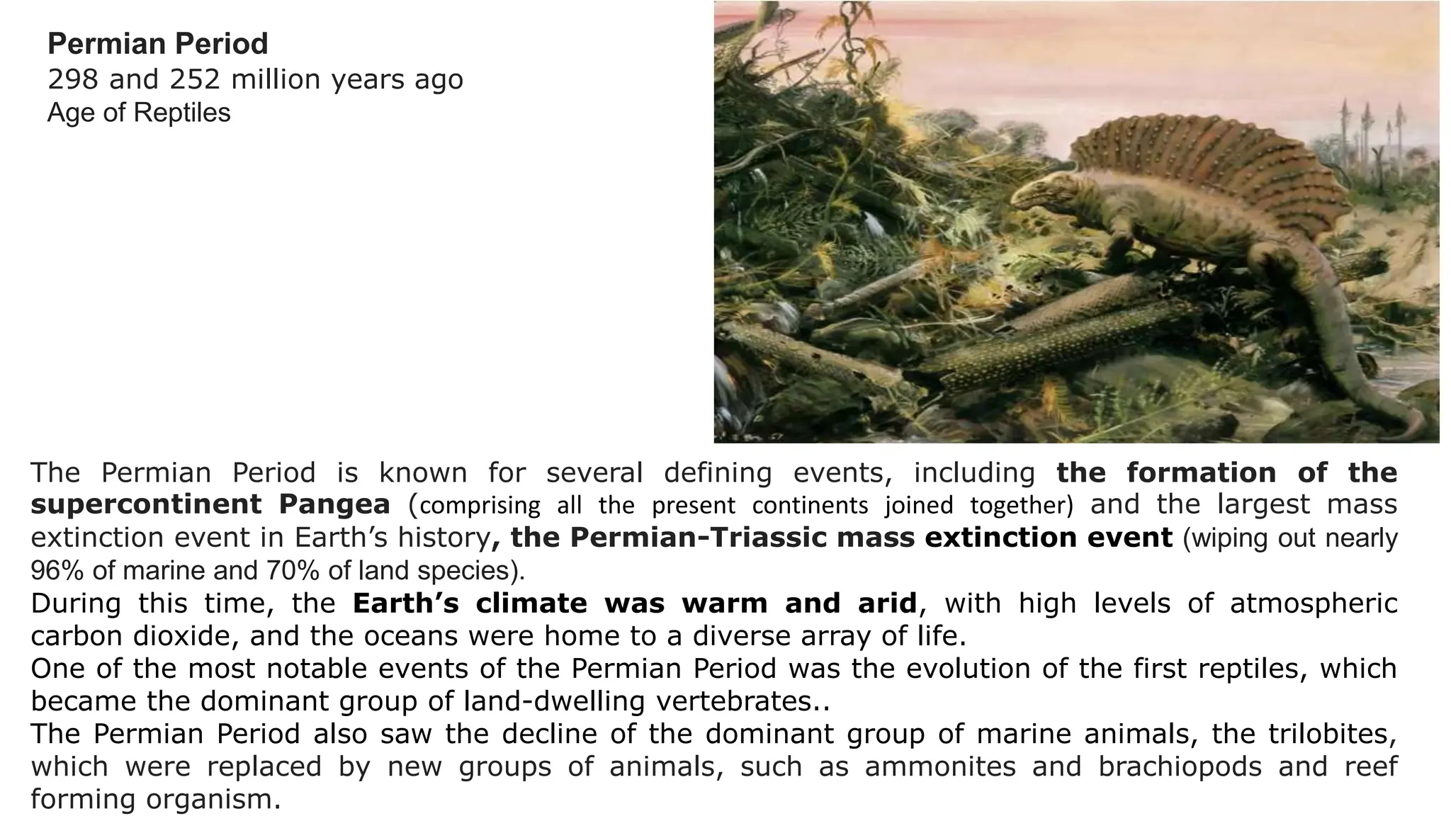 Origin of Life eon era periods explained.pptx