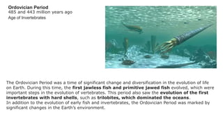 Origin of Life eon era periods explained.pptx