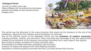 Origin of Life eon era periods explained.pptx