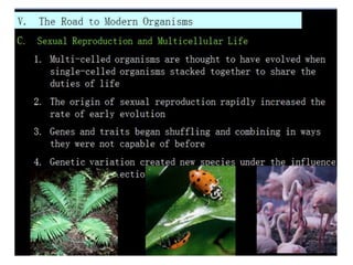 introduction to origin of life and classification | PPTX
