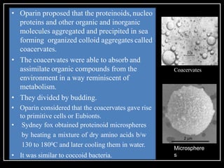 Origin of life | PPTX