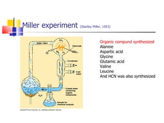 Origin Of Life | PPT