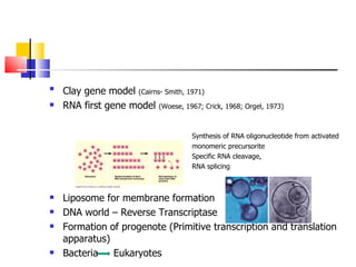 Origin Of Life | PPT