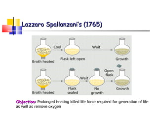 Origin Of Life | PPT