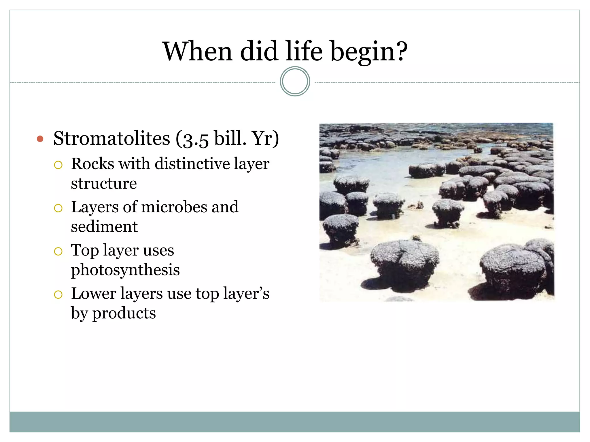 Origin of Life | PPTX