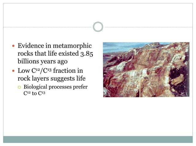Origin of Life | PPTX | Biological Sciences | Science