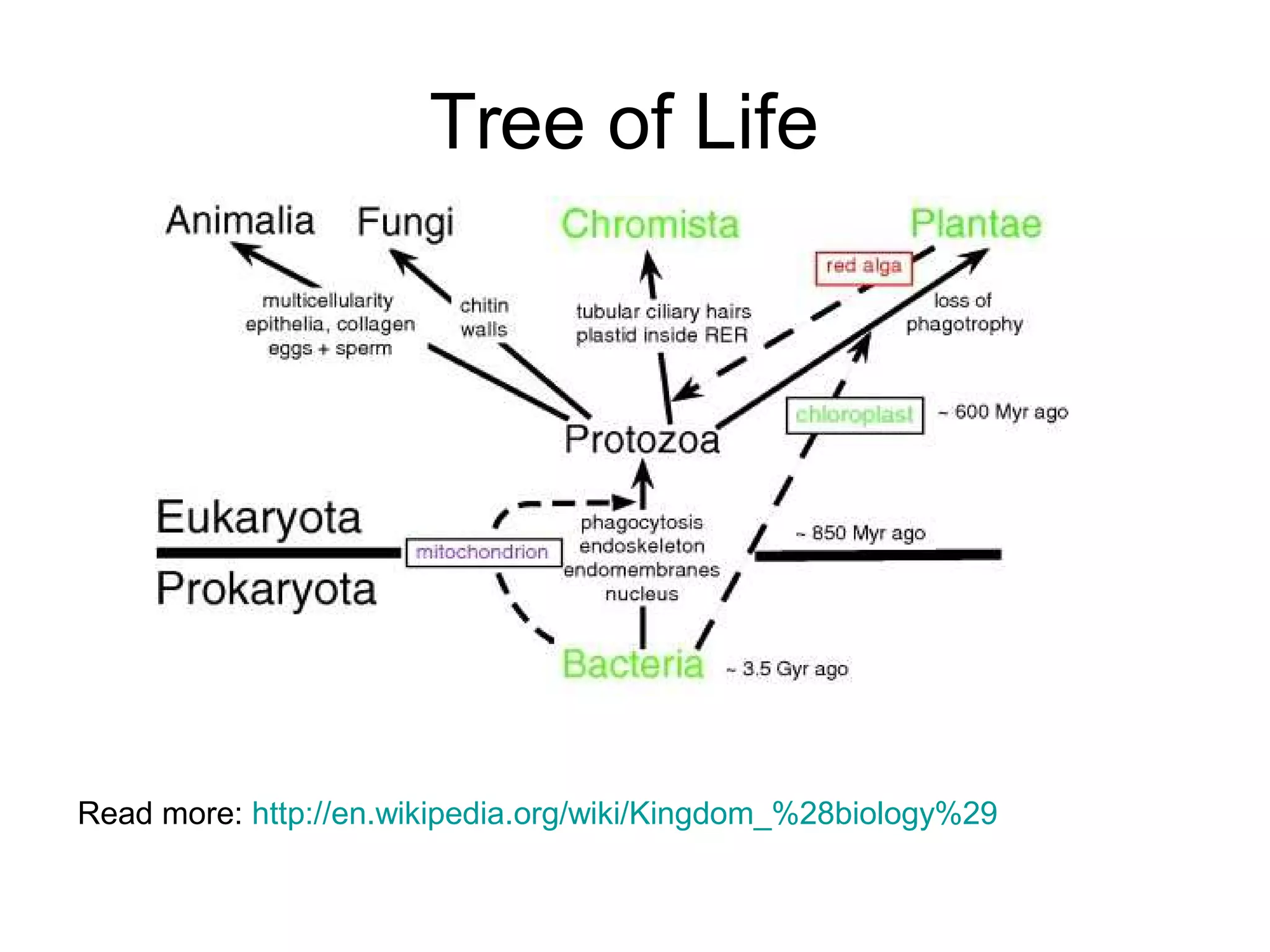 Origin_of_Life_Biogenesis_and_Abiogenesi.pdf