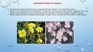 Origin of Life & Its Evolution, Biology.pptx