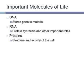 Origin of Life on Earth | PPTX