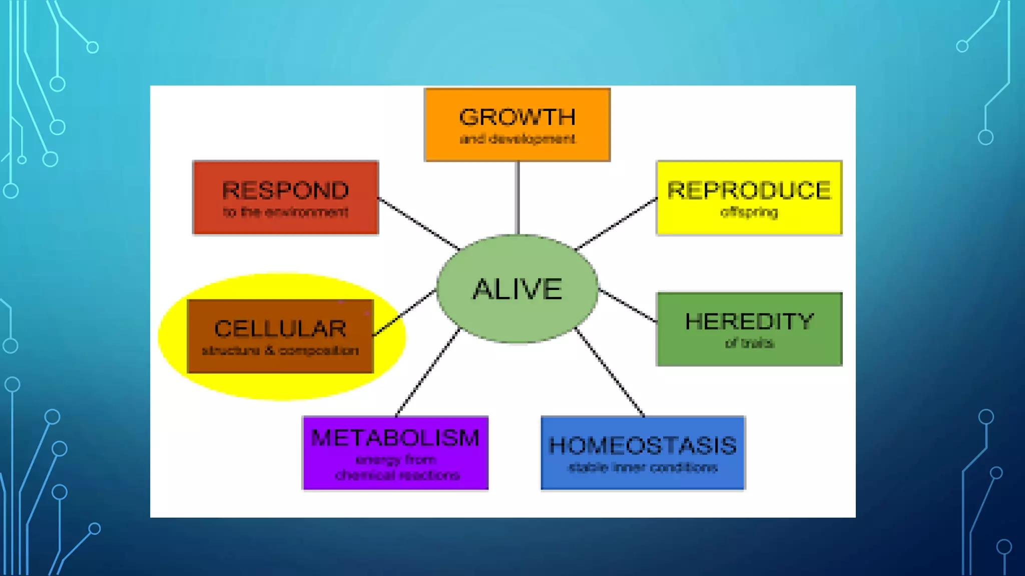 Origin of life on earth | PPTX