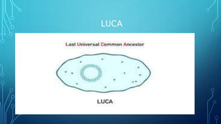 Origin of life on earth | PPTX