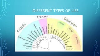 Origin of life on earth | PPTX