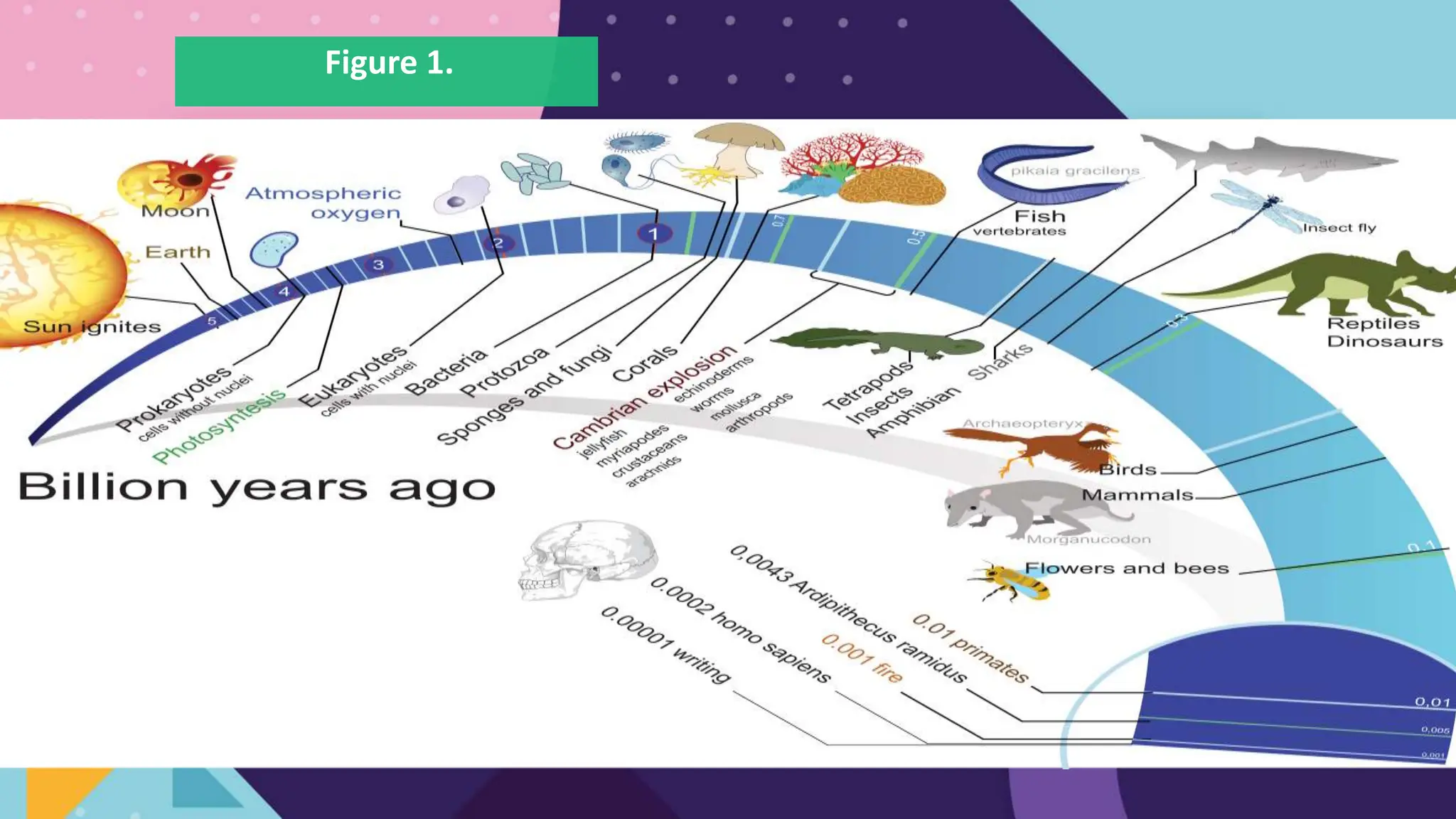 origin of life Presentation group 3.pptx