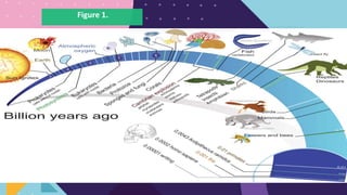 origin of life Presentation group 3.pptx