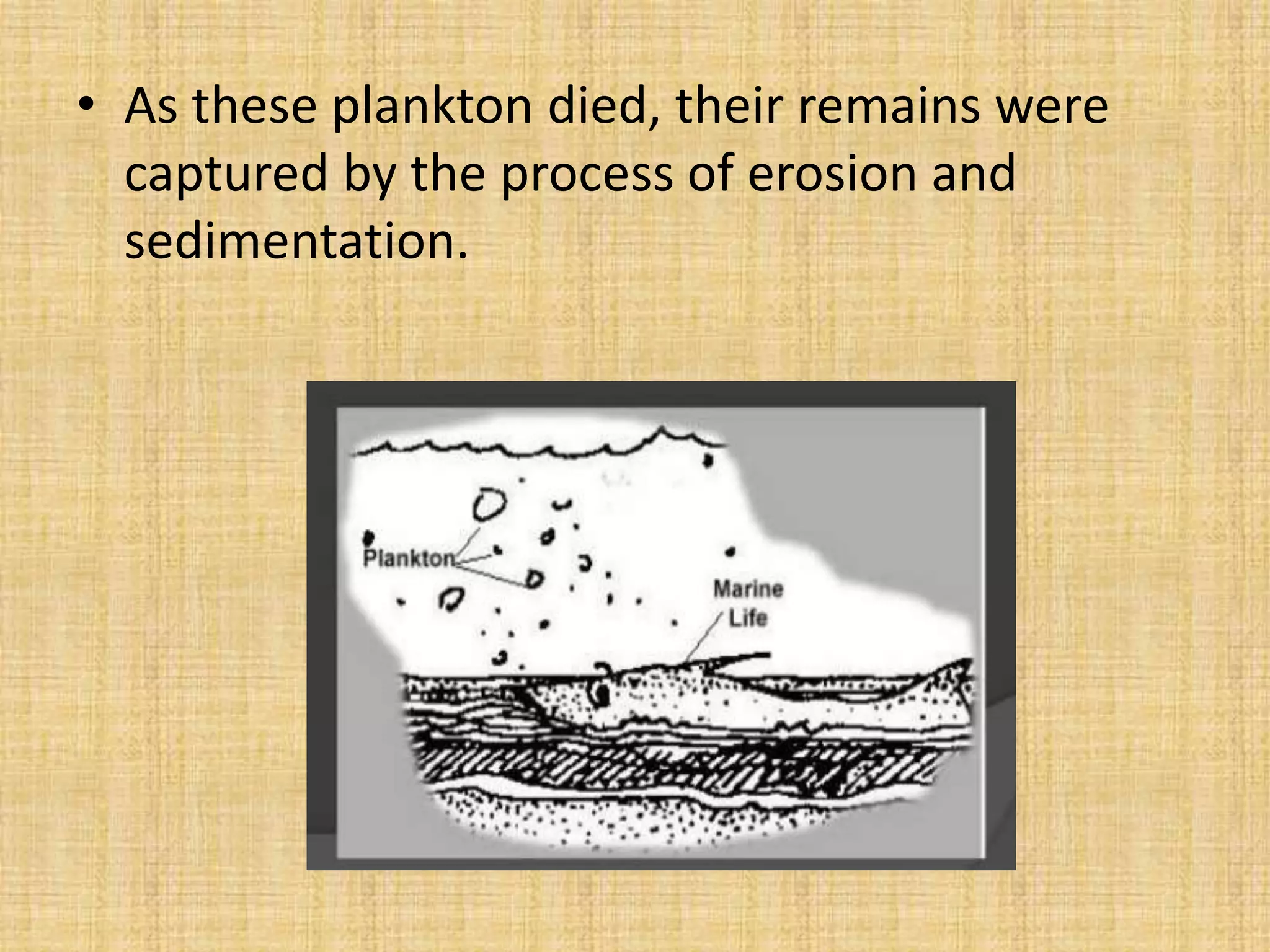 ORIGIN OF PETROLEUM.pptx
